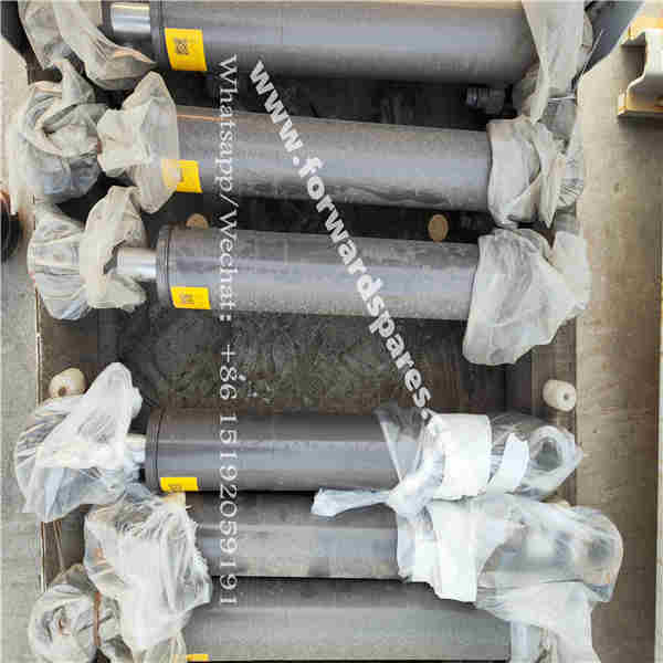 RM11-75A020000B0/3R Swing Cylinder, Leowo Technology, Grey Color ...