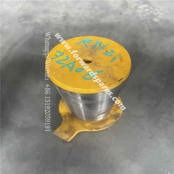 RN21-72A060000A0/2C pin shaft (Starry Night Black) - Forward spares